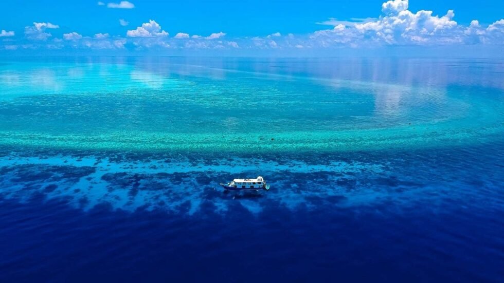 Tubbataha Reef | Tubbataha Reef National Park Liveabord Package Tour